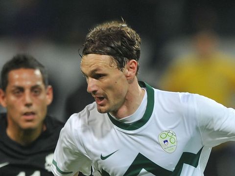 Milivoje Novakovic - Slovenia | Player Profile | Sky Sports Football