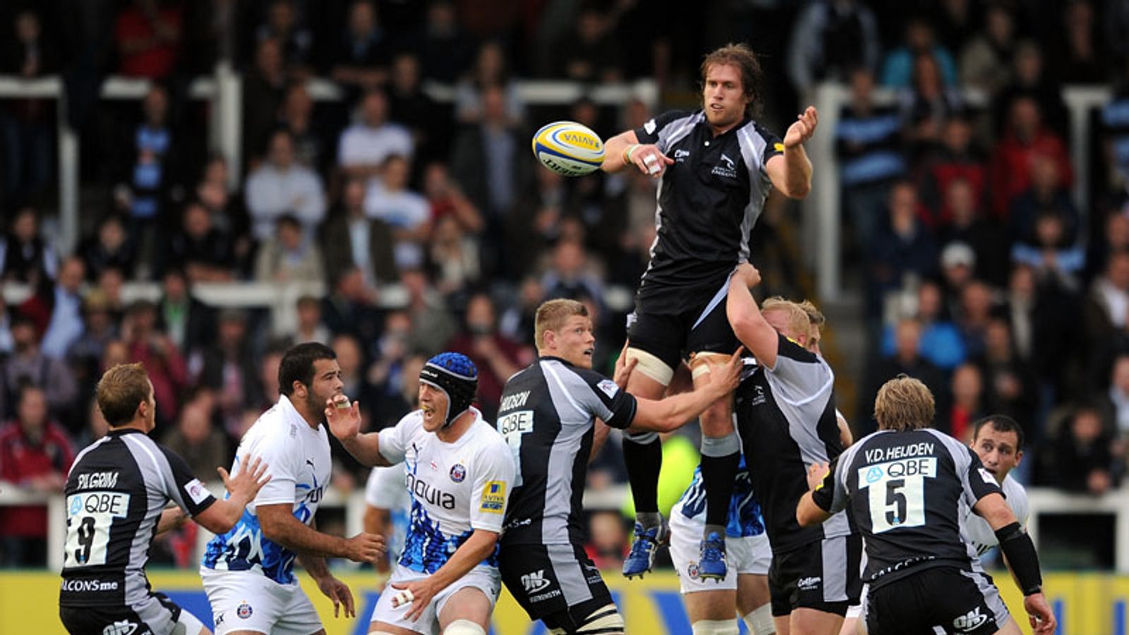 Mayhews happy at Newcastle | Rugby Union News | Sky Sports