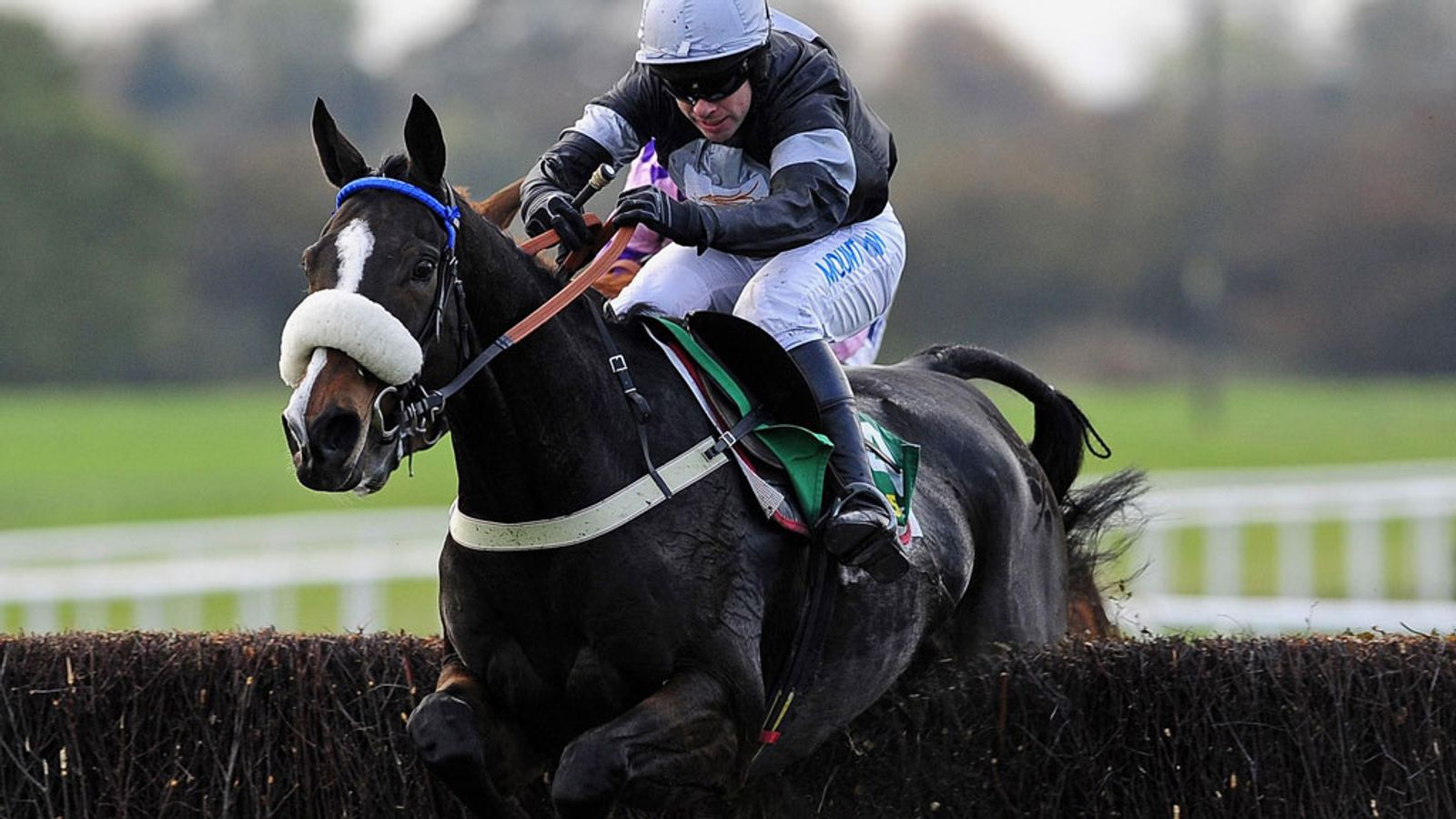 Weird Al misses King George | Racing News | Sky Sports