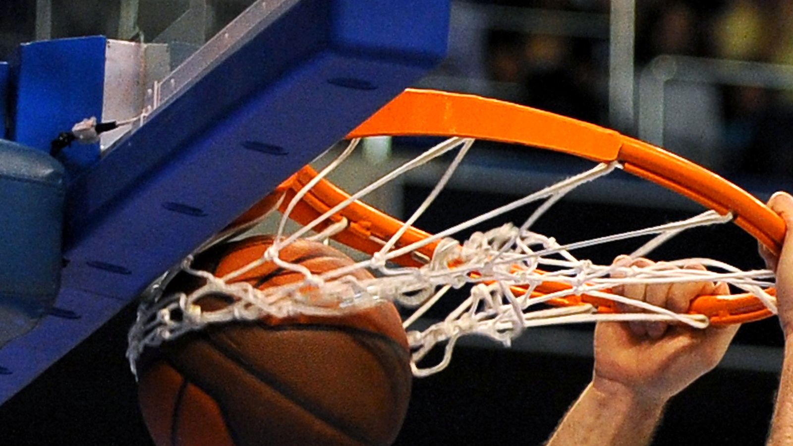 BBL: Wildcats dancing | Basketball News | Sky Sports