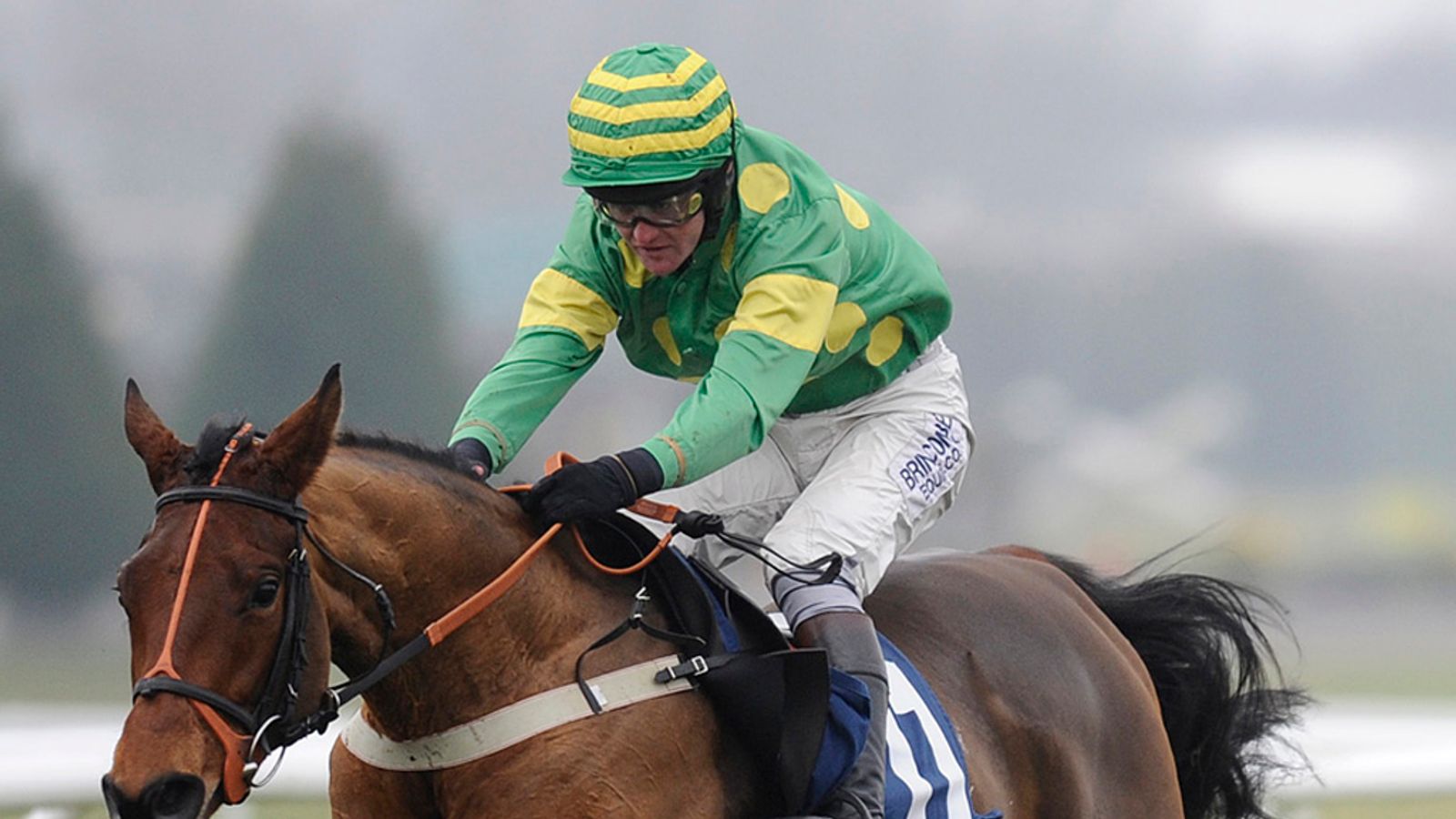 Colin Tizzard has confirmed Third Intention for the Jewson Novices ...