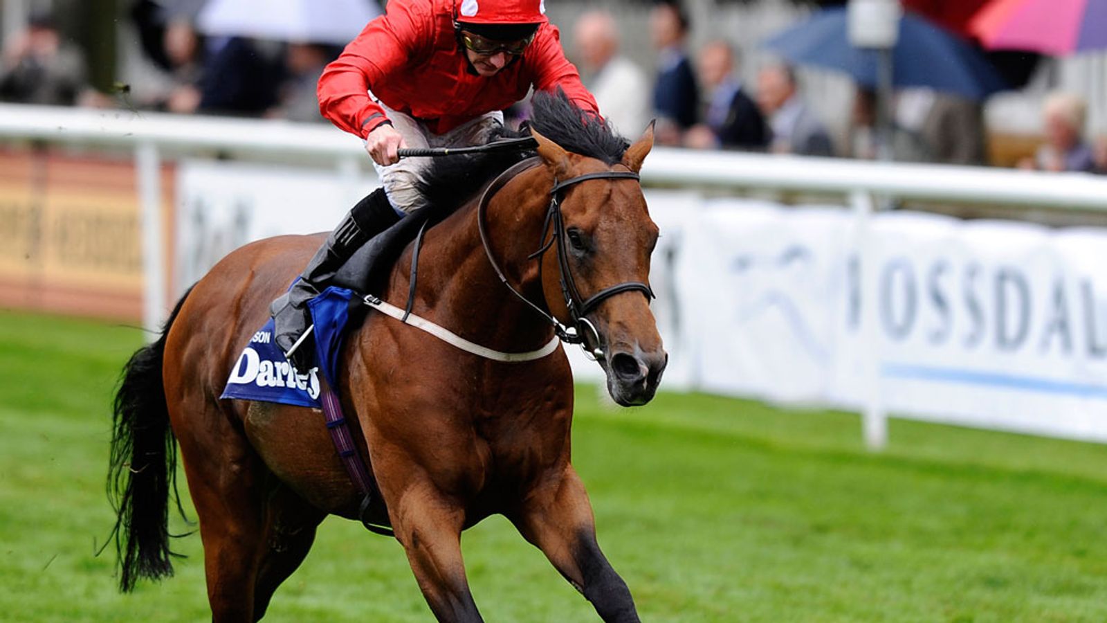 July Cup hero Mayson bows out | Racing News | Sky Sports