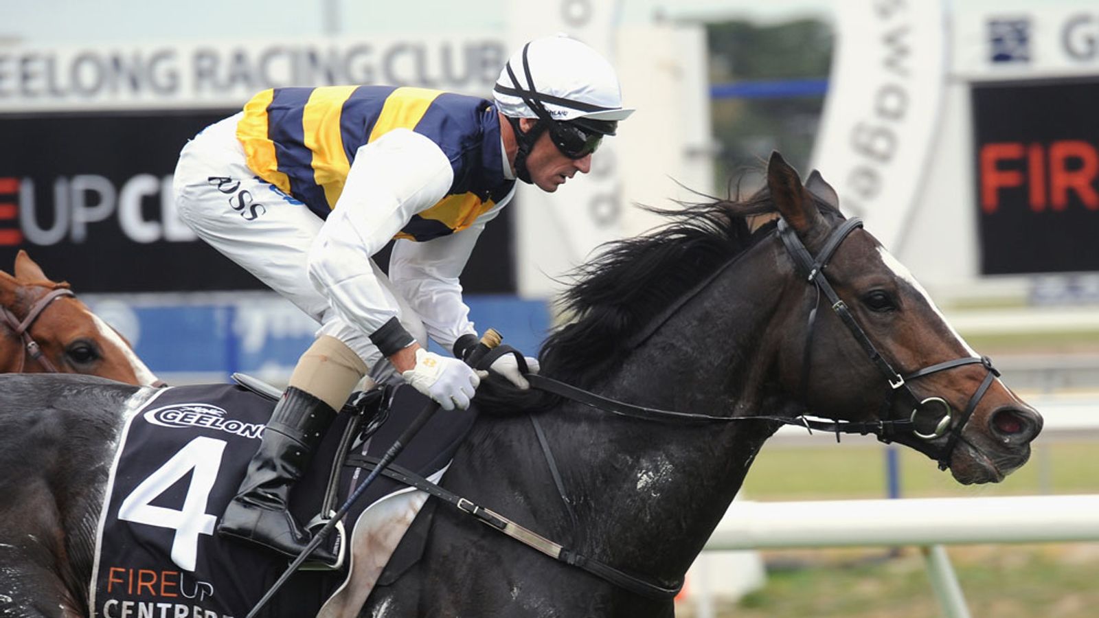 Gatewood in late cup bid | Racing News | Sky Sports