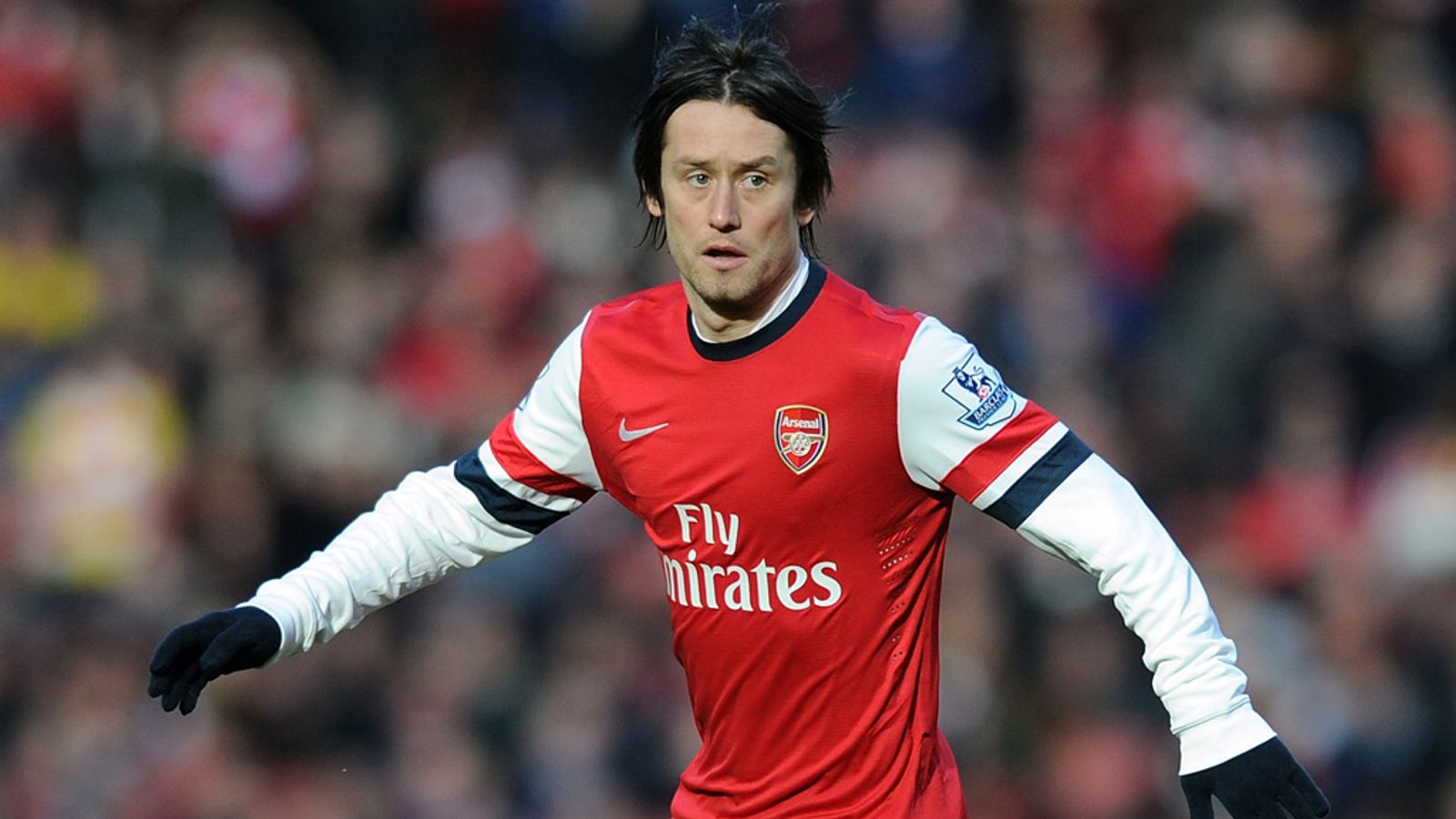 Transfer News: Arsenal midfielder Tomas Rosicky set to sign new deal ...