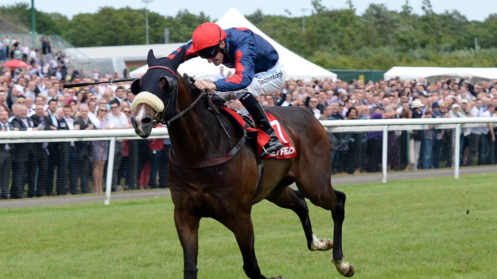 All-weather approval for Newcastle | Racing News | Sky Sports