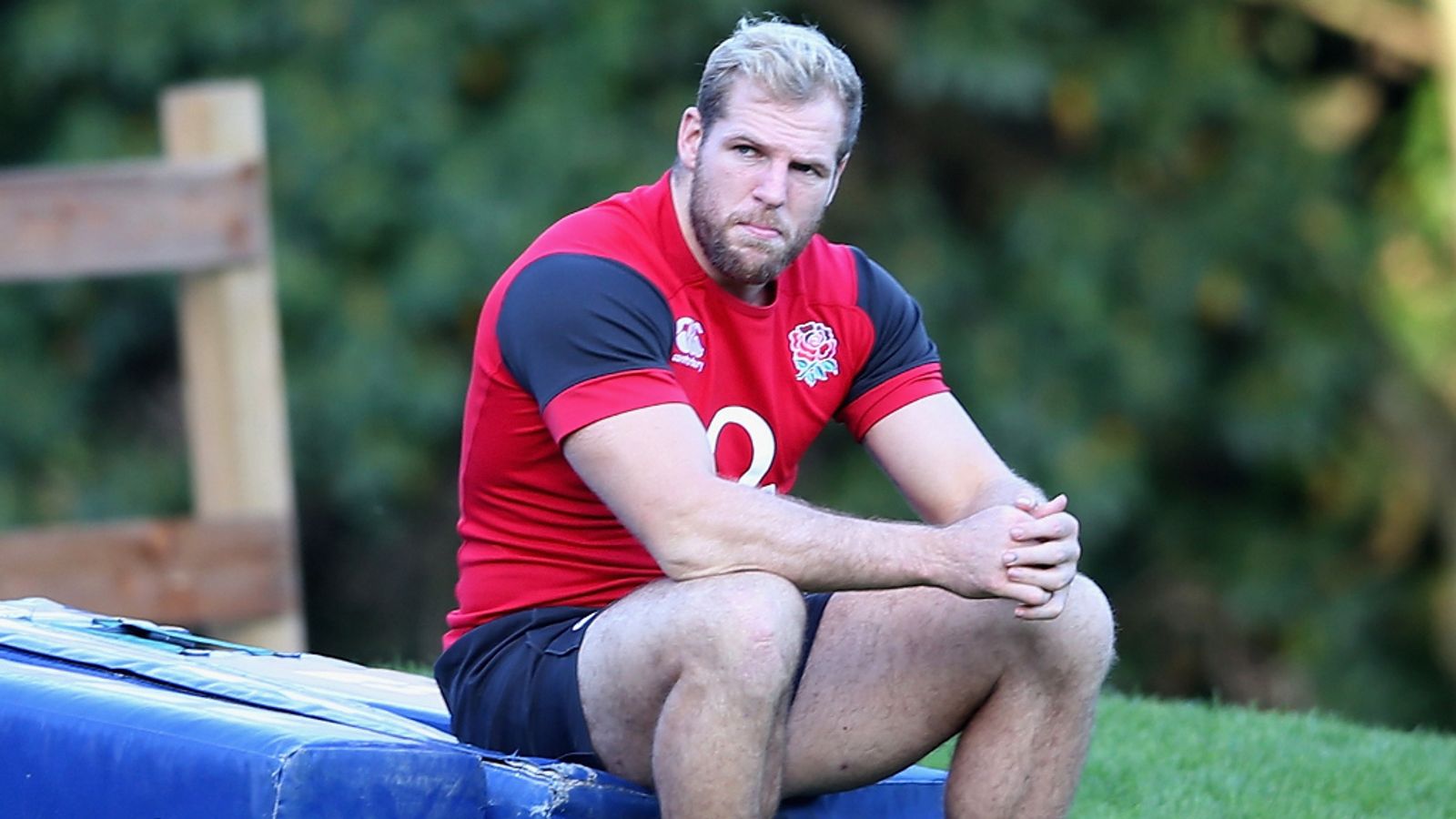 Six Nations: Dai Young backs Wasps forward James Haskell for England ...