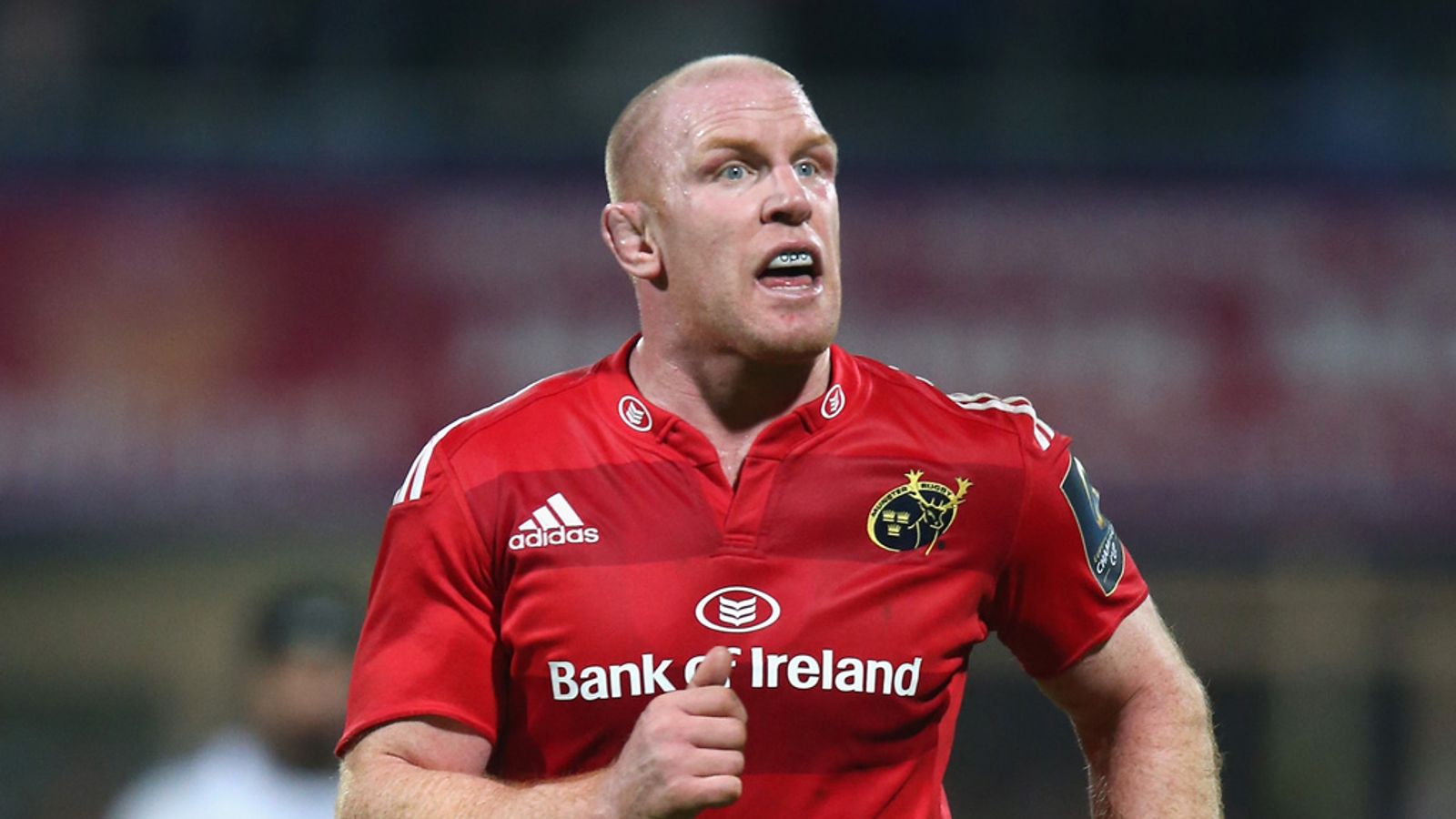 Toulon's Drew Mitchell touts Paul O'Connell as potential 'invaluable ...