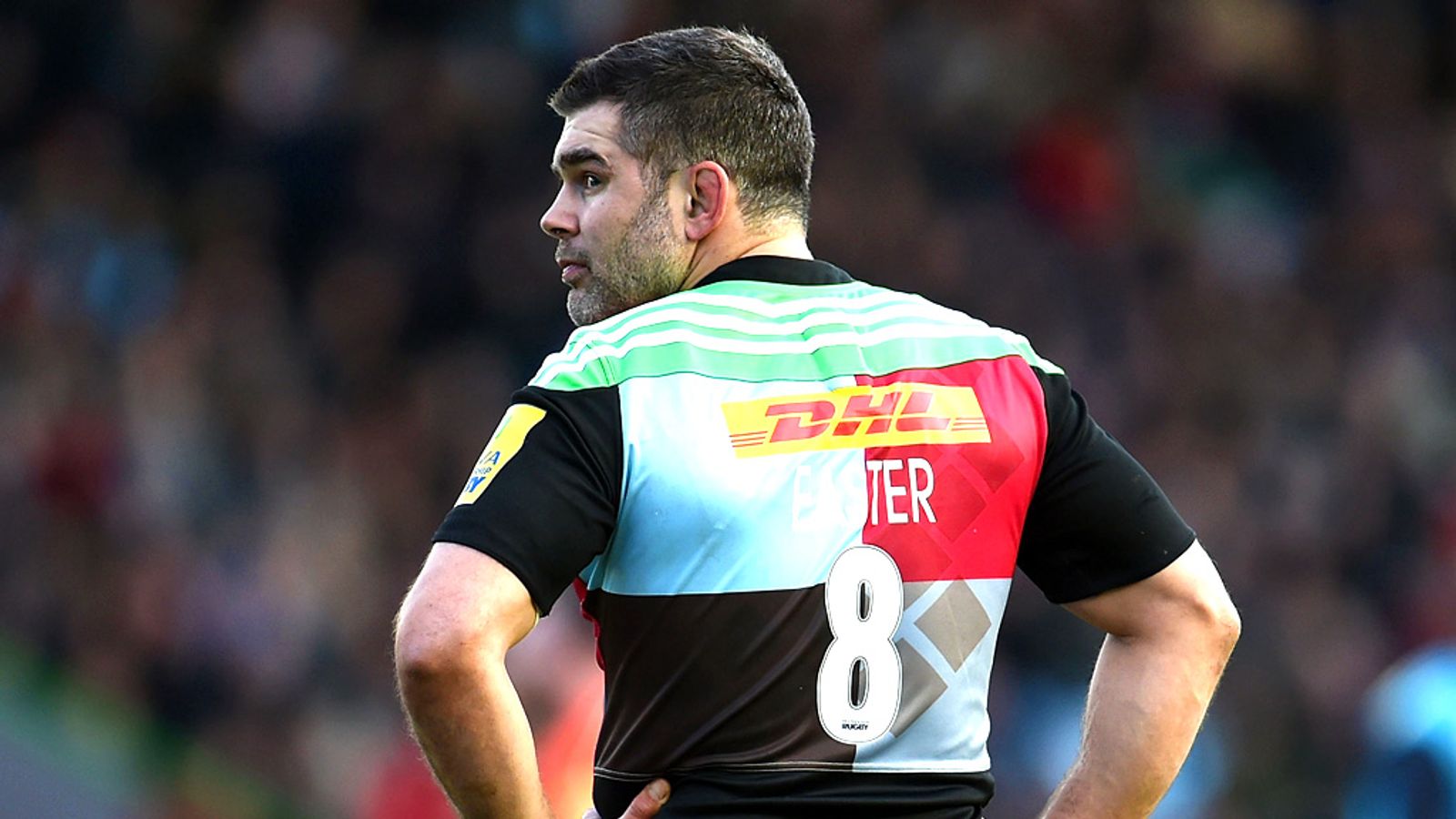 Six Nations: England No 8 Nick Easter thrilled by recall | Rugby Union ...