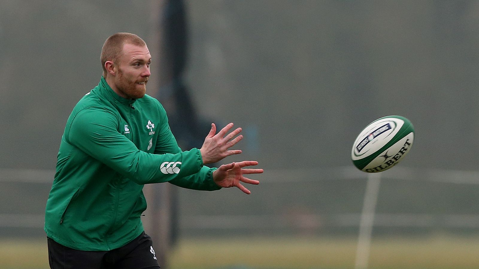Donnacha Ryan and Keith Earls back in Ireland team for Wales game ...