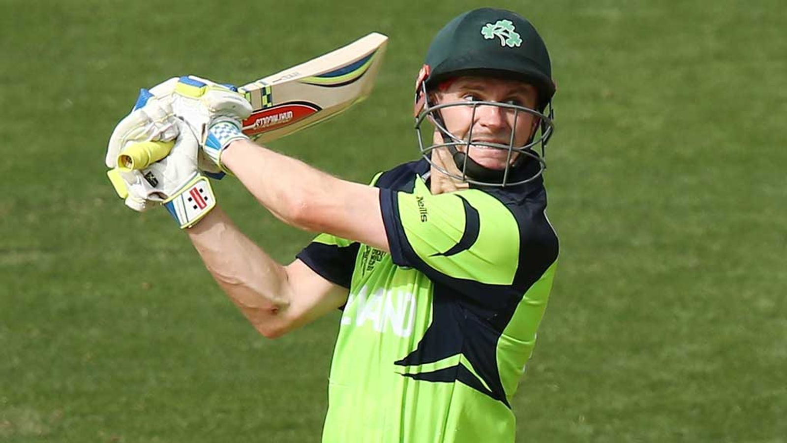 William Porterfield to skipper Ireland against England in Dublin ...