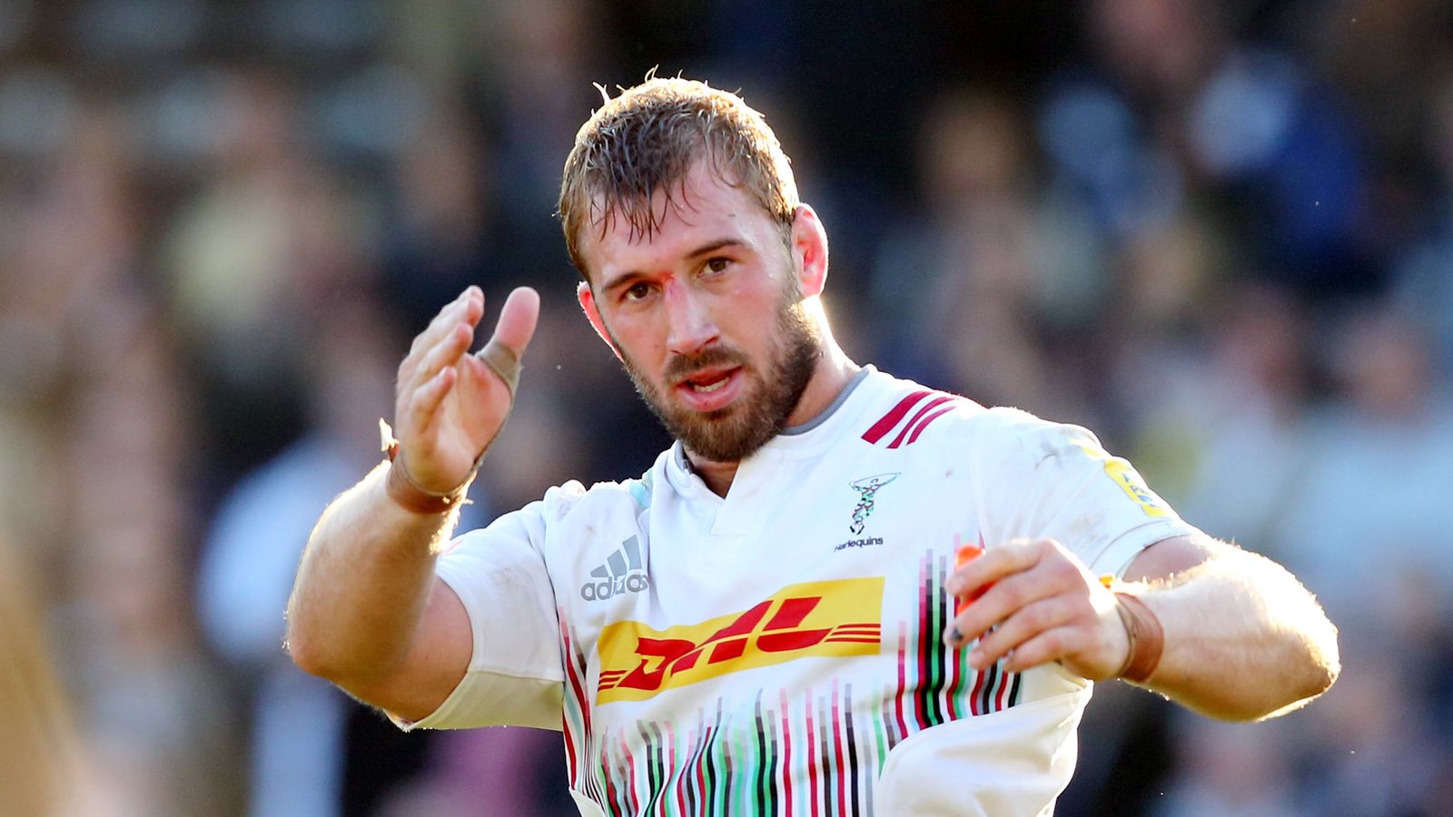 England's Chris Robshaw can be best No 6 in Europe, says Eddie Jones ...