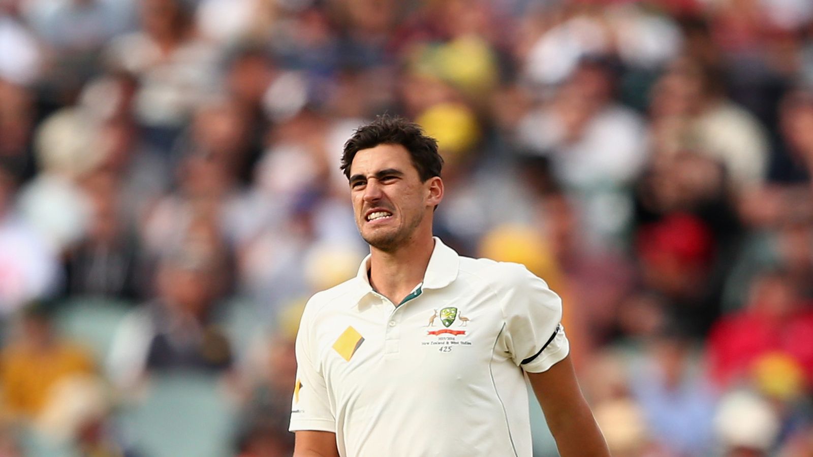 Mitchell Starc needs rest, not surgery, for foot stress fractures ...