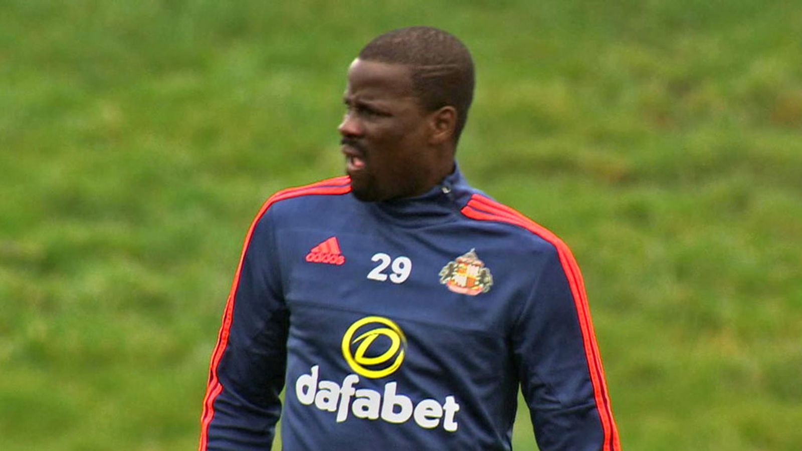 Emmanuel Eboue could still have Sunderland future says Sam Allardyce ...