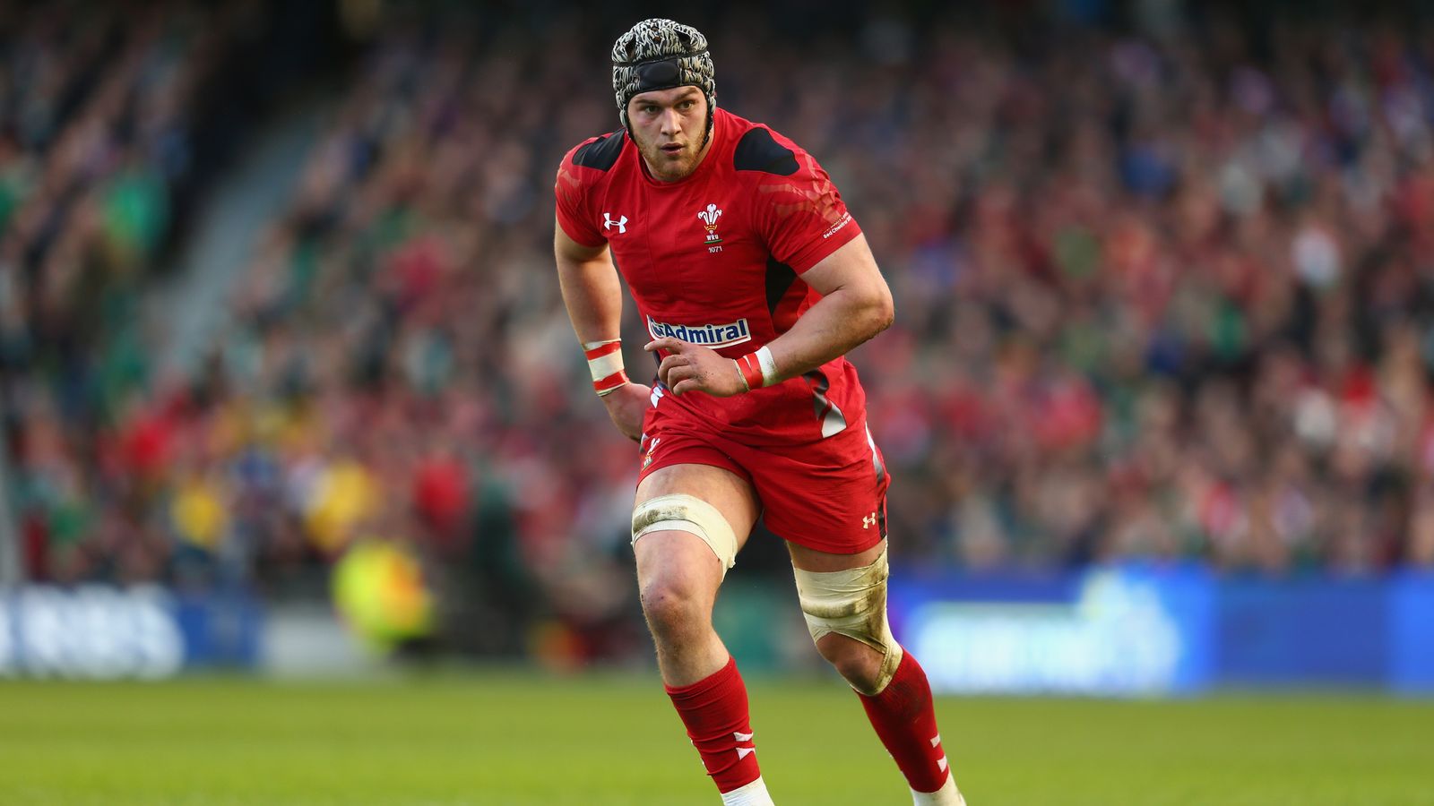 Dan Lydiate set to miss New Zealand tour after Twickenham injuries ...