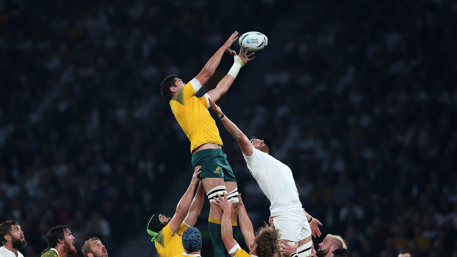 Michael Cheika says Rob Simmons was axed from Australia team to face ...