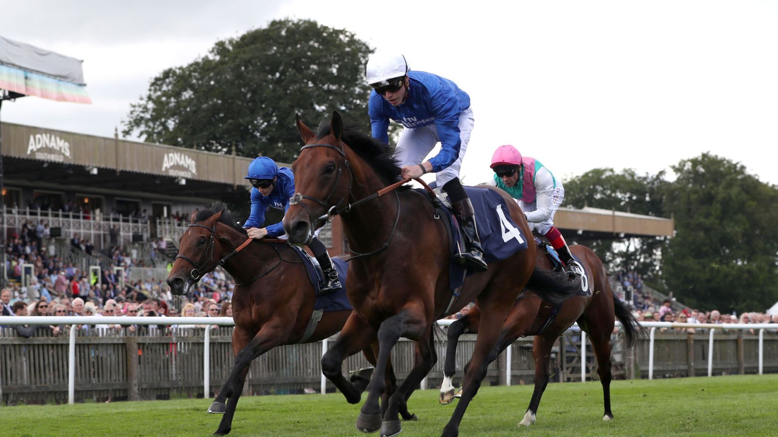 Review of the action from Newmarket July Festival | Racing News | Sky ...