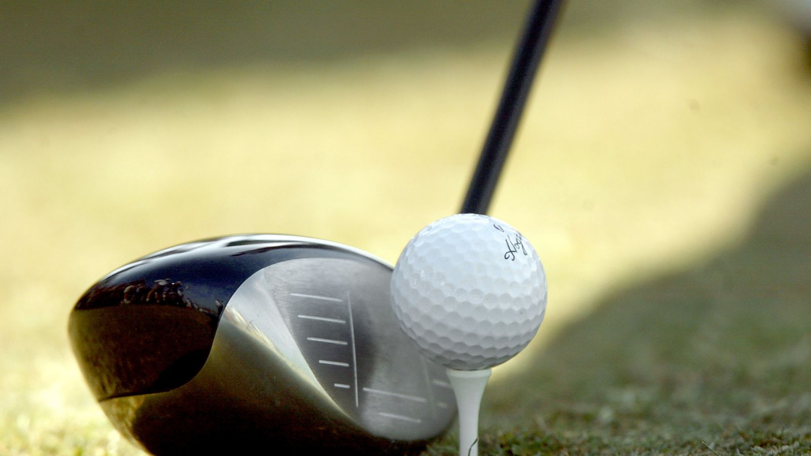 Briton Joe Miller regains World Long Drive title | Golf News | Sky Sports