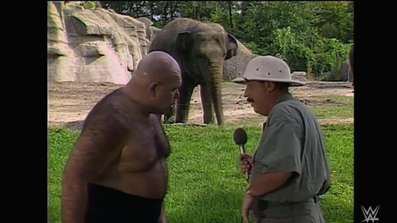 WWE: Watch what happened when George Steele visited Detroit Zoo! | WWE ...