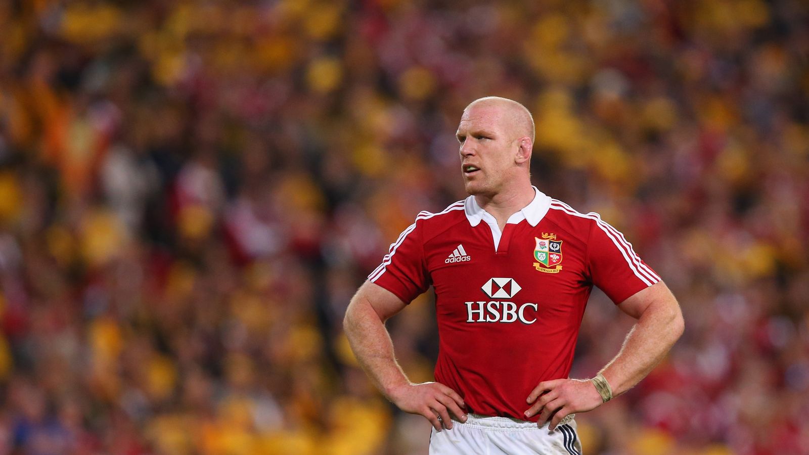 Paul O'Connell on British and Irish Lions captaincy | Rugby Union News ...