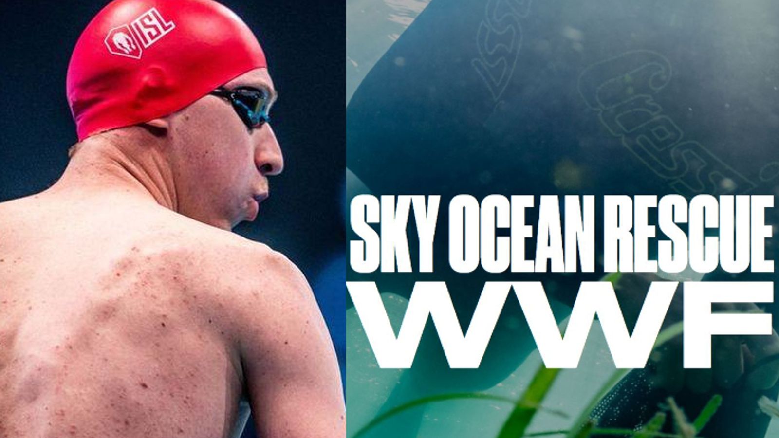 Sky Zero and WWF campaign: Sky Scholar Max Litchfield is fighting for ...