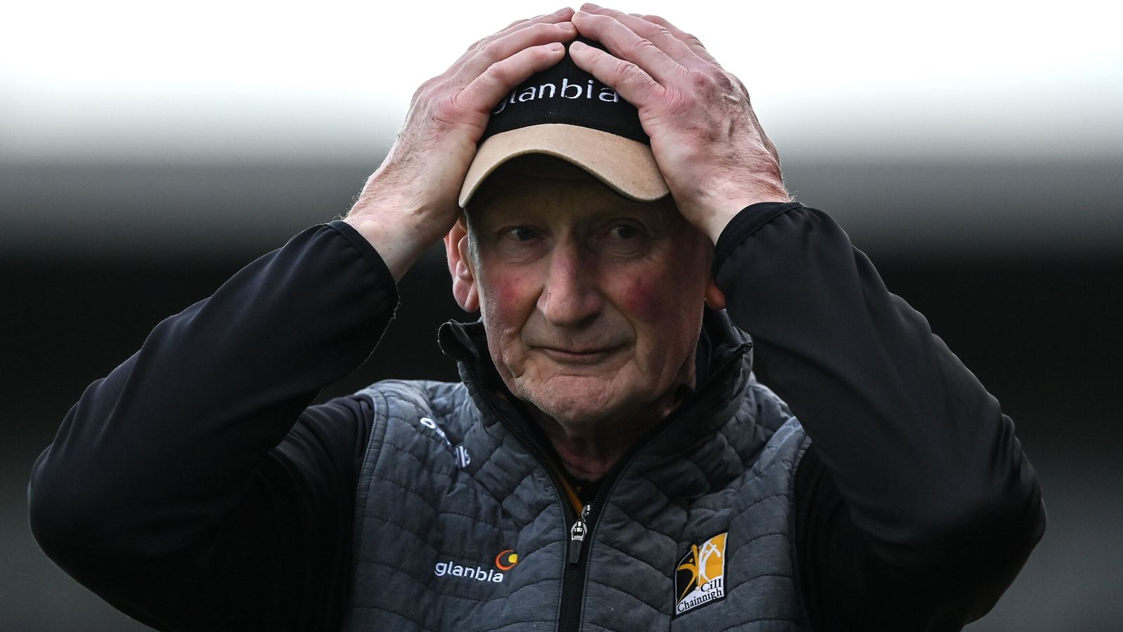 Brian Cody: Wexford won the battle | JJ Delaney: Kilkenny were lucky ...