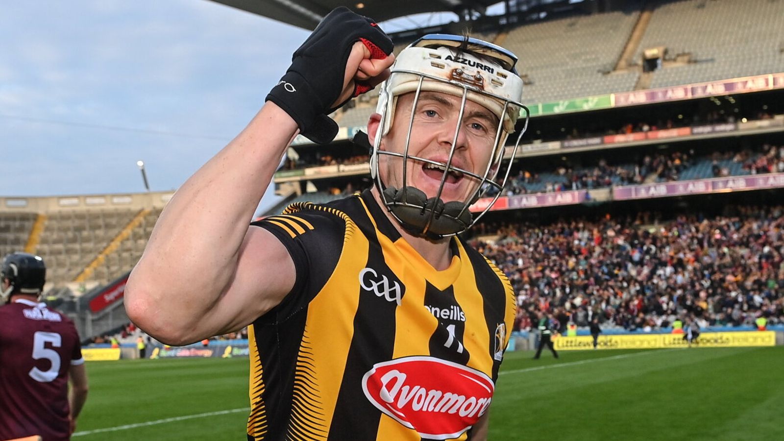 Kilkenny 0-22 Galway 0-17: TJ Reid shoots Cats to Leinster Hurling ...